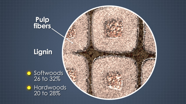 Pulp Bleaching Basic Principles - Convergence Training