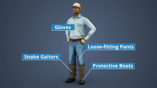 First Aid - Snake Bites Video - Convergence Training