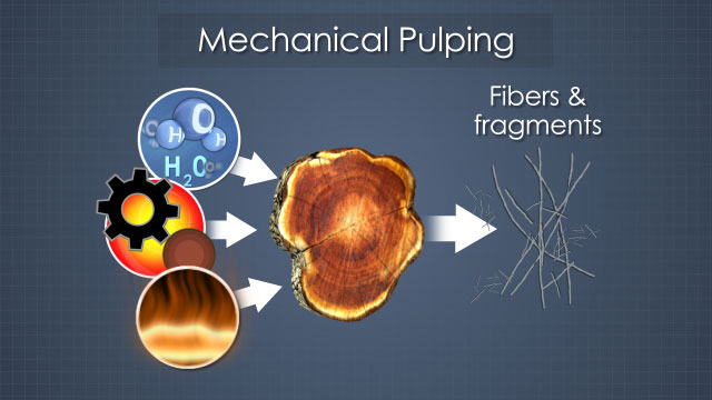 Pulping and Papermaking Overview Video - Convergence Training