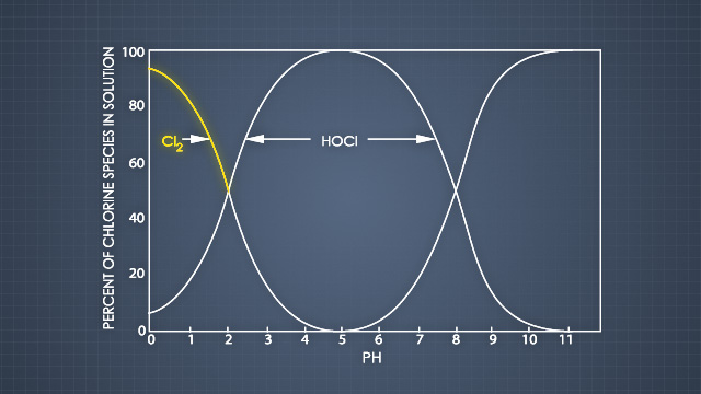 Pulping - Alkaline Extraction Training Video
