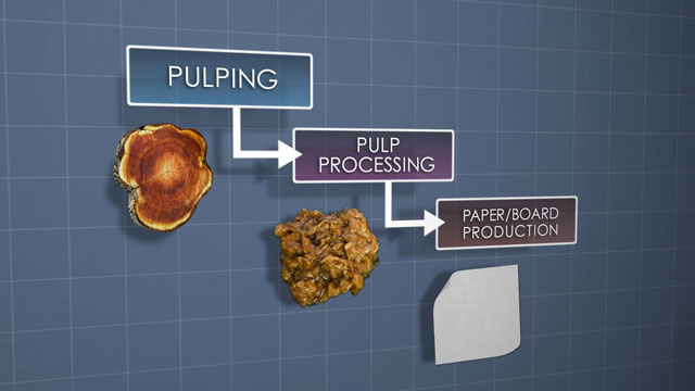 Pulping and Papermaking Overview Video - Convergence Training