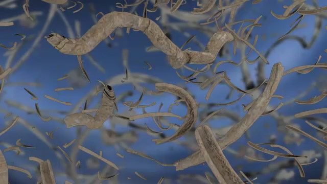 Paper Sheet Formation Video - Convergence Training